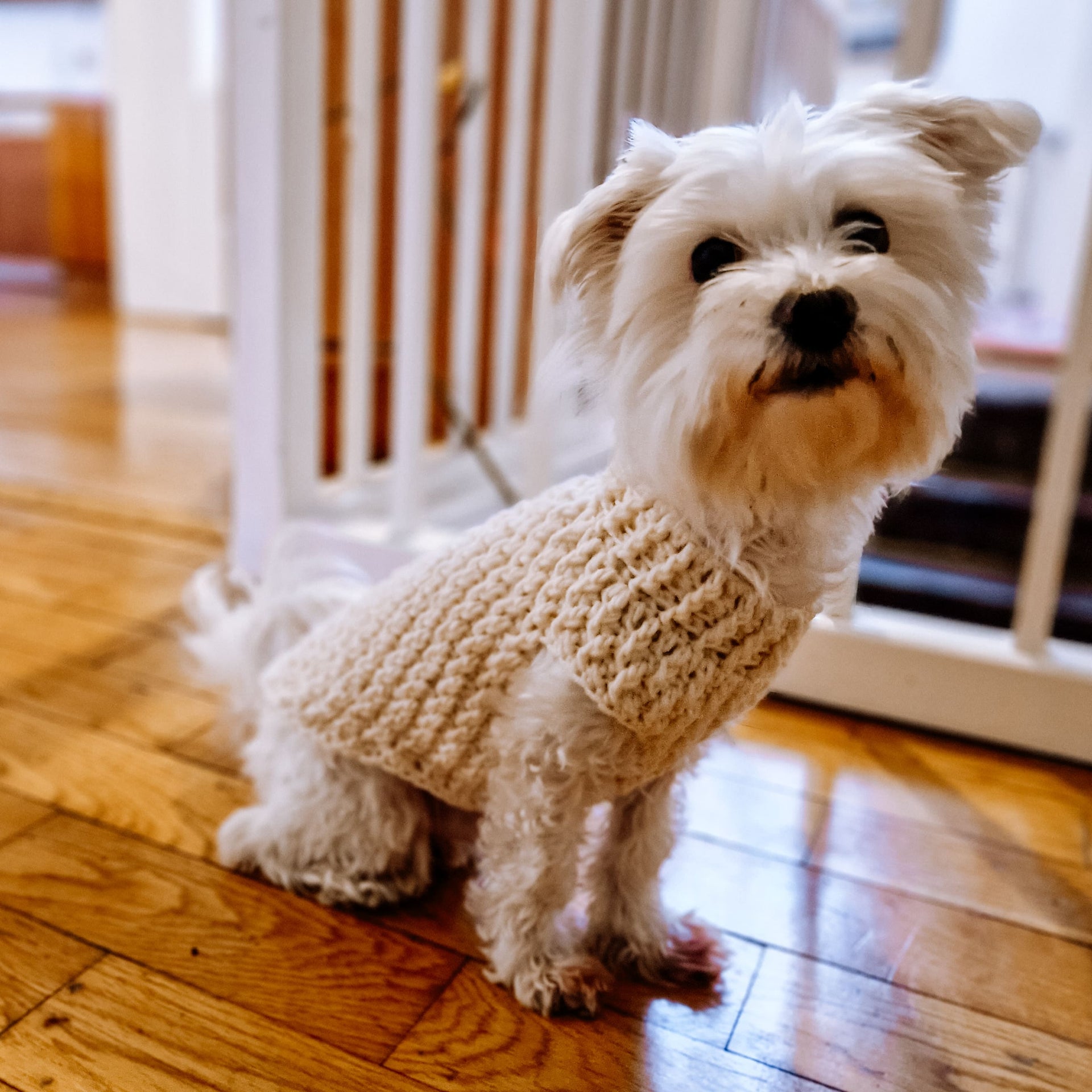 Oversized Mesh-Stitch Top | Crochet Pattern by Loops Only